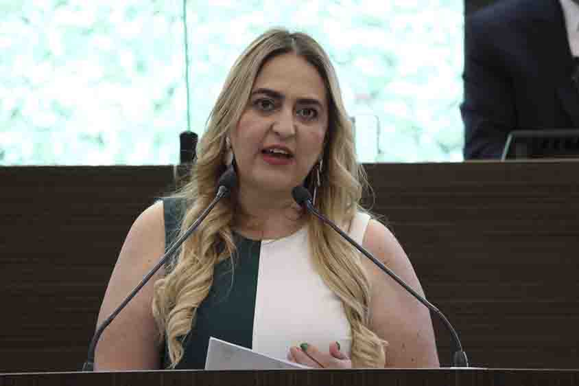Diputada Perla Flores (PVEM) en el Informe de la LXI Legislatura